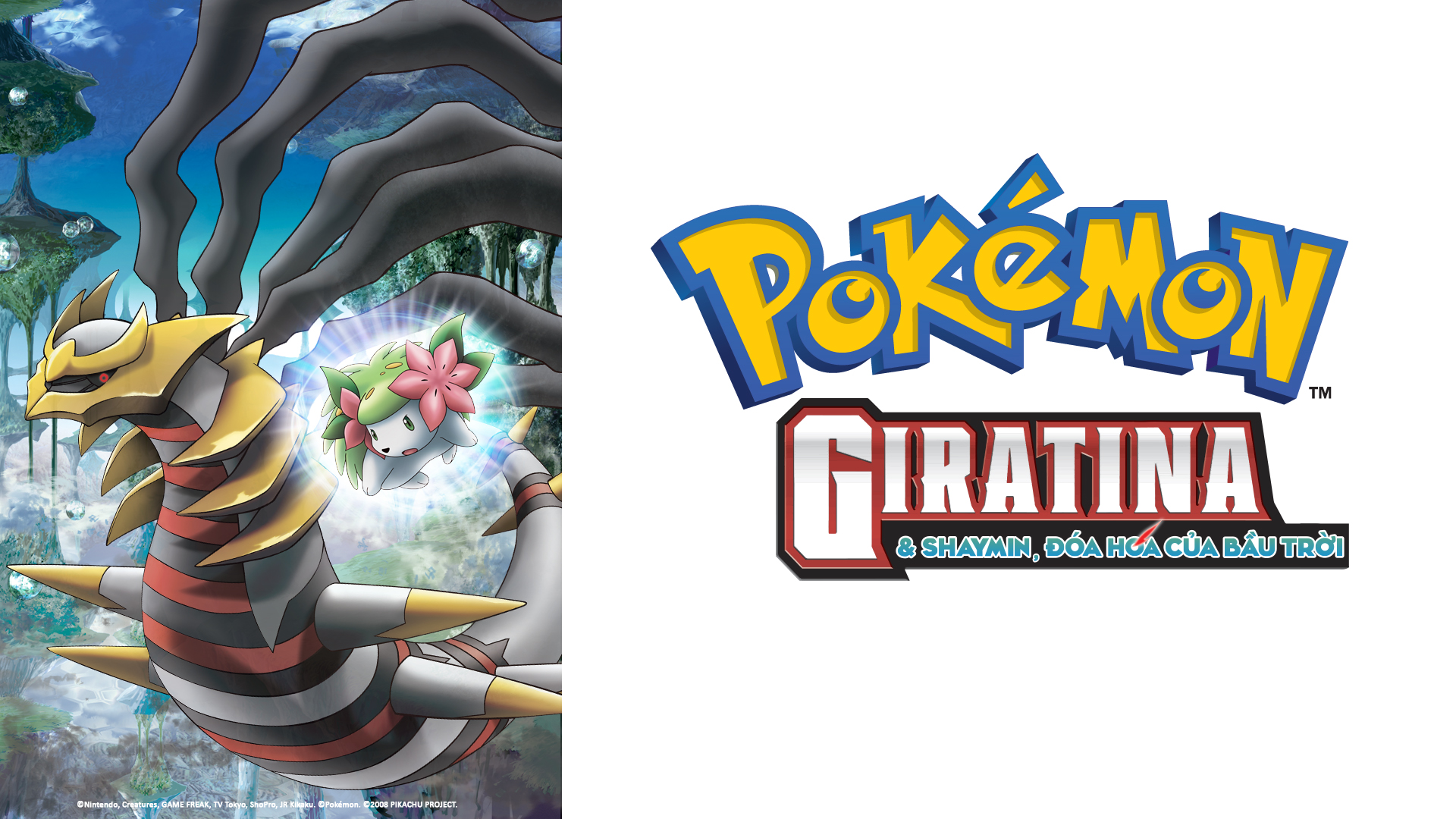 Hướng dẫn cách tải phim pokemon miễn phí và nhanh chóng